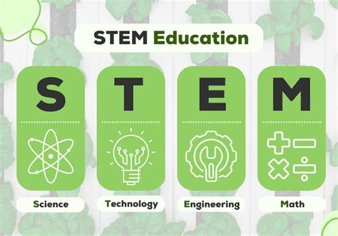 Hydroponics For Stem A Tool For Holistic Classroom Education