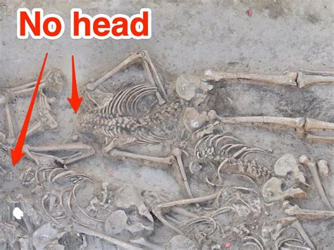 Archaeologists Found 38 Skeletons In A 7000 Year Old Mass Grave All