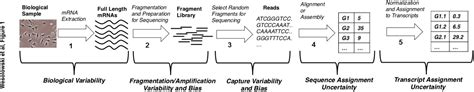 SRSF Shape Analysis For Sequencing Data Reveal New Differentiating