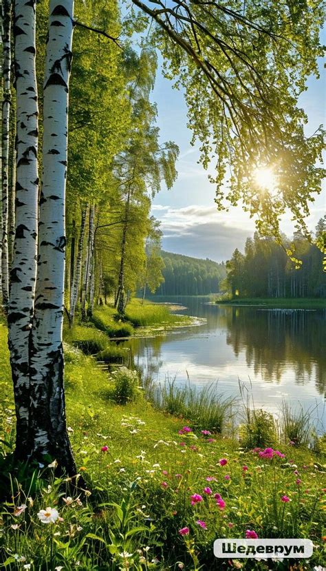 Пин от пользователя Meri Allen на доске Art Inspirations в 2025 г Летний пейзаж Живописные