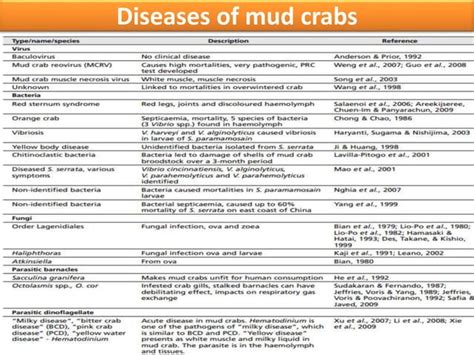 Mangrove Mud Crab Farming Ppt