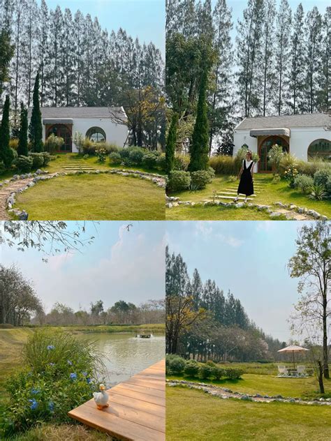 🧺🥖คาเฟ่น่ารักๆที่กาญฯ มุมถ่ายรูปน่ารักมาก🌿🪿 แกลเลอรีที่โพสต์โดย Triptamjai Lemon8