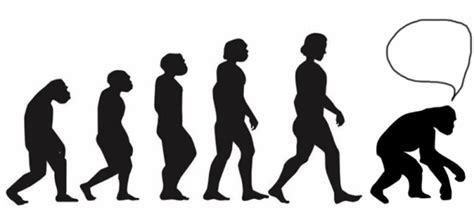 Создать мем эволюция человека женщины человек Homo эволюция эволюция