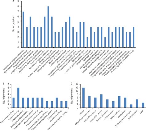Enrichment Of Differentially Abundant Proteins In The Gene Ontology