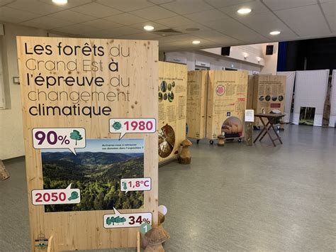 Lumière Sur La Foret Cinéma Le Royal à Rothau Mairie De Saulxures