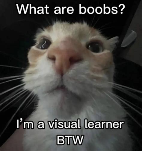The Latest Memes Memedroid
