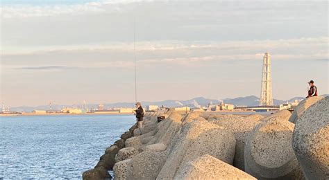 チヌ釣り ヤスピーの釣りざんまい