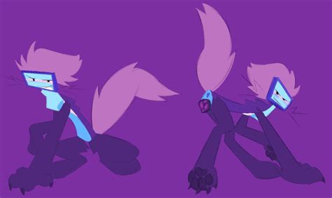 Rule 34 Animal Genitalia Female Only Feral Labbit1337 Object Show