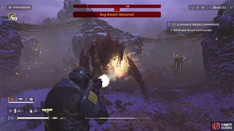 How To Find And Kill Brood Commander Helldivers Terminids Enemies Helldivers Gamer