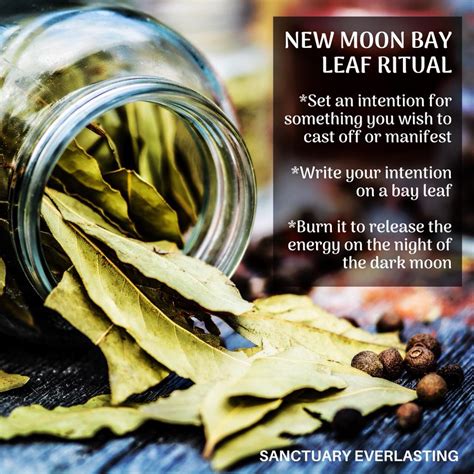 Sanctuary Everlasting Home Facebook