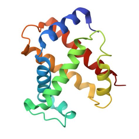 Rcsb Pdb 1hbs Refined Crystal Structure Of Deoxyhemoglobin S I Restrained Least Squares