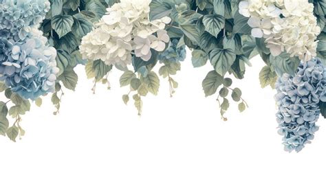 Hanging Hydrangeas Hydrangea Pattern Flower Premium Image By