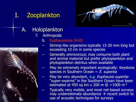 Zooplankton Taxonomy