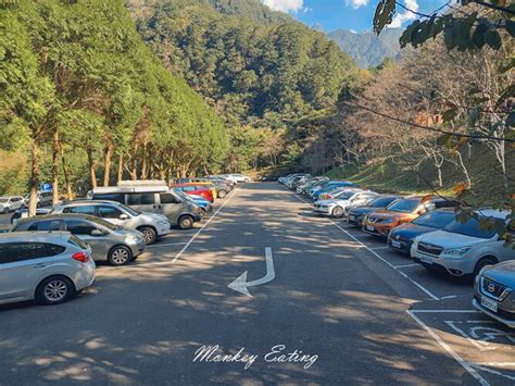 【八仙山主峰步道】谷關七雄老大，八仙山遊樂區享受森林浴步道 貪吃猴的幻想旅遊walkerland窩客島