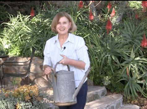 Fertilizing Succulents How When Why And With What Debra Lee Baldwin