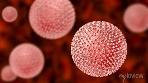 Measles Viruses 3d Illustration Showing Structure Of Measles • Wall