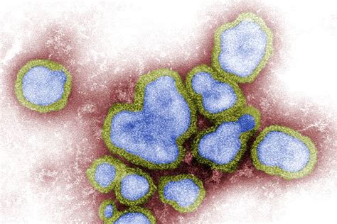 Cómo Se Contagia La Gripe Prevención Dr Francisco Belda Maruenda