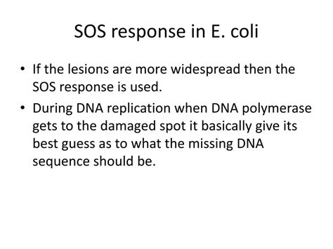 Ppt Sos Response In E Coli Powerpoint Presentation Free Download
