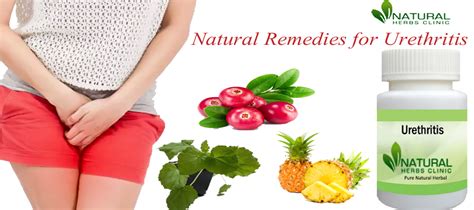Best Natural Remedies For Urethritis Recovery Naturally