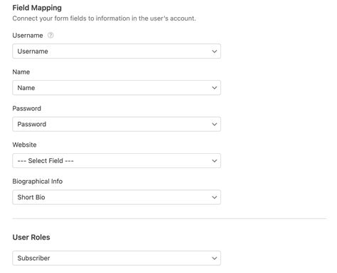 How To Assign User Roles Conditionally In Wordpress