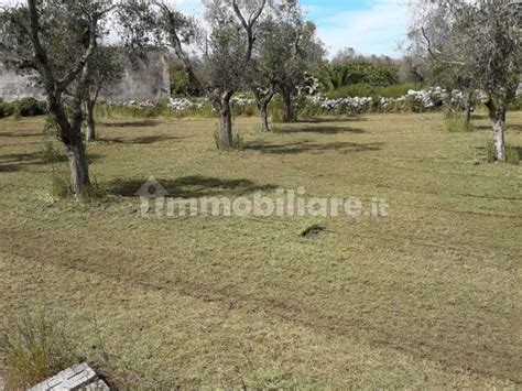 Terreno Agricolo Strada Provinciale Maglie Otranto Giurdignano Rif