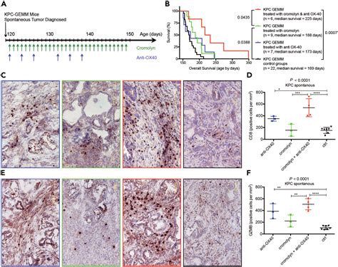 Tumor Infiltrating Mast Cells Confer Resistance To Immunotherapy In