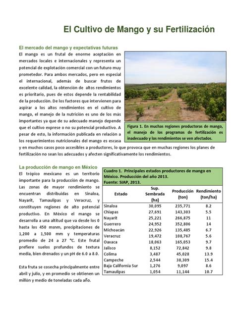 El Cultivo De Mango Y Su Fertilizacion Pdf Fertilizante Mango