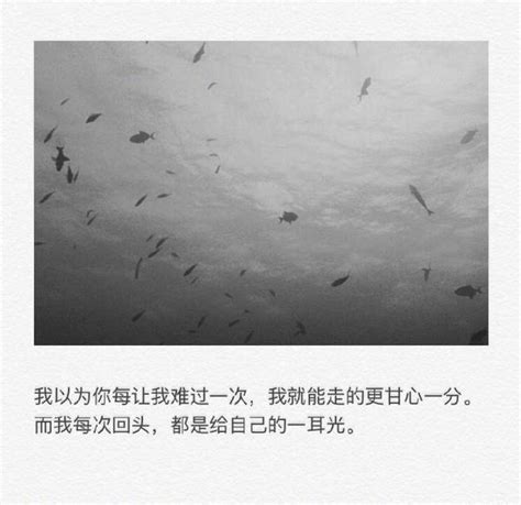 走錯路可能是運氣不好 但總往一個坑裡跳就是智障 每日頭條