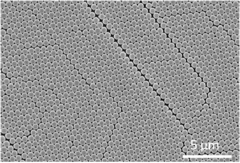 Sem Image Of Polystyrene Spheres Forming A Monolayer On Polycrystalline