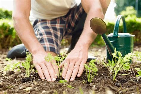 How To Break Down Clay Soil Fast Gardening Dream