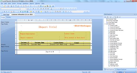 Crystal Reports Hongten