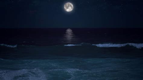 Moonlight On The Beach Live Wallpaper