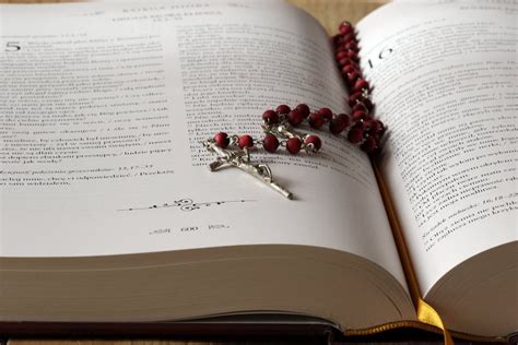 16 Catholic Prayers To Read Before Meal Kccnj