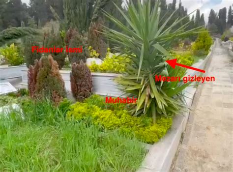 Cem Garipoğlu nun mezarı nerede Mezar taşında isim var mı yok mu İşte