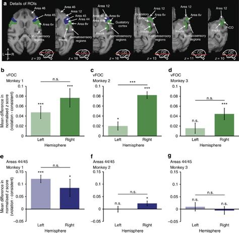 Auditory Sequence Processing Reveals Evolutionarily Conserved Regions Of Frontal Cortex In