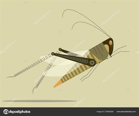 Grasshopper Jump Stock Illustration By ©shepherd302 316935558