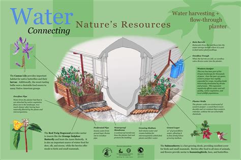 Audubon Society Bioswale Communitecture ARCHITECTURE PLANNING DESIGN