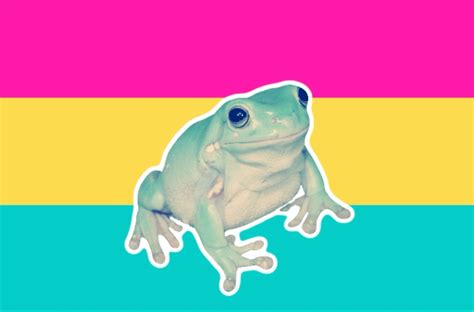 2016 Pansexual Frog Pfp For Whatsapp And Instagram 4k Hd Pictures