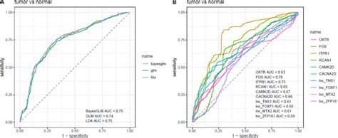 Identification Of Oxytocin Related Lncrnas And Assessment Of Their