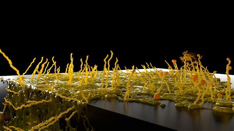 Slime Mold Simulation With Sidefx Houdini Jinho Jeoung Posted On The Topic Linkedin
