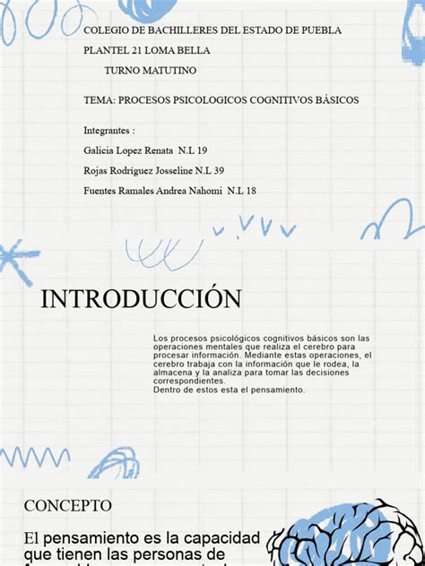 Procesos Psicológicos Cognitivo Básicos Pdf Pensamiento Mente