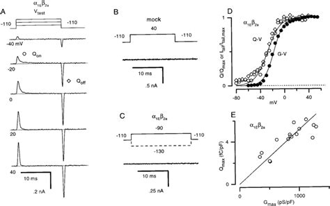 Isolation Of 1e Gating Currents A Gating Currents In Response To The