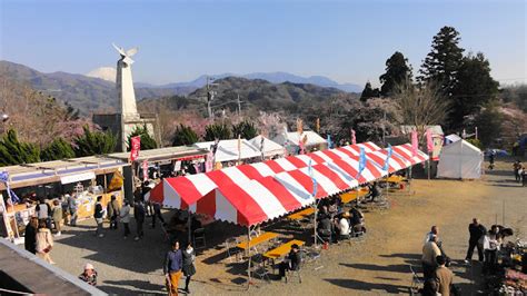 南アルプスのしずく 富士川町・大法師さくら祭り