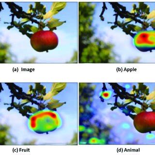 The Proposed Knowledge Updated Multimodal Object Detection Model Can
