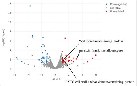 Table 1 From Analysis Of Gene Expression Profiles Of Enterococcus