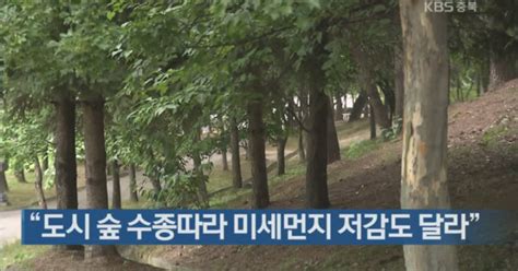 도시 숲 수종따라 미세먼지 저감도 달라