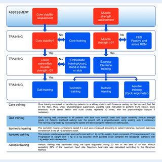 Algorithm Of The Exercise Protocol Of The Early Mobilization Group