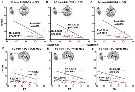 Correlation Between Fc From The Putamen To Cerebellum Or Middle