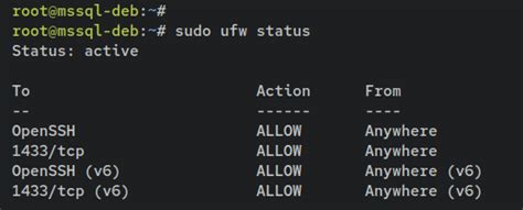 Wie Man Microsoft Sql Server Unter Debian 11 Installiert Und Verwendet