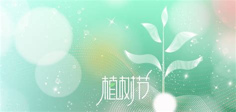 树光斑背景图片 树光斑背景素材图片 千库网